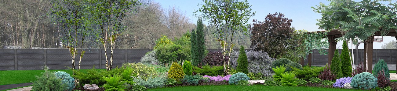 Les 12 plus beaux arbres pour un jardin d'exception