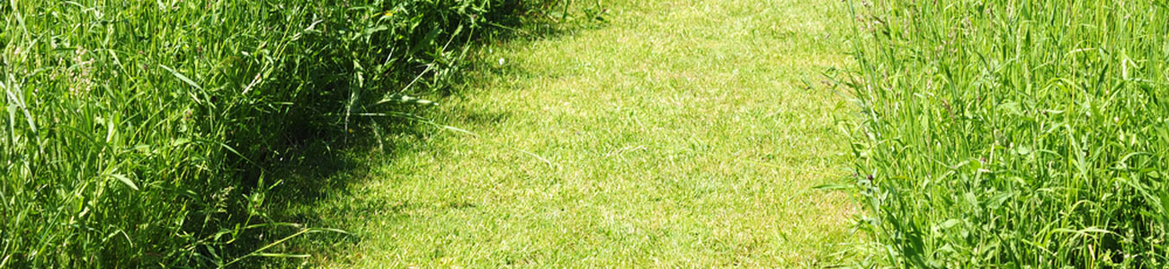 Choisir la tonte raisonnée (ou différenciée) : explications